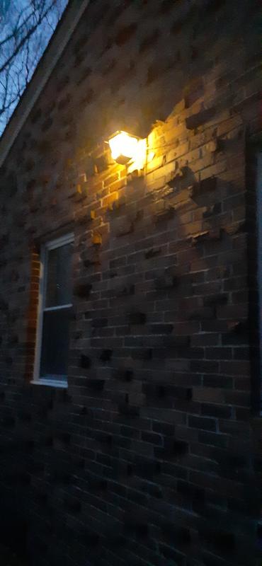 allen + roth Solar Wall Lantern 1-Light 14.37-in H Matte Black Solar ...