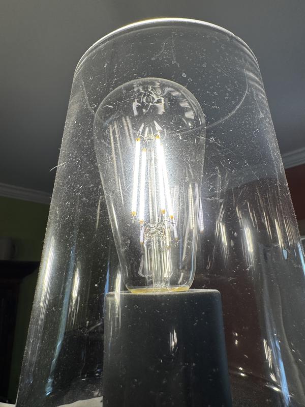 Utilitech Straight Filament 60 -Watt EQ ST19 Daylight Medium base (E-26 ...