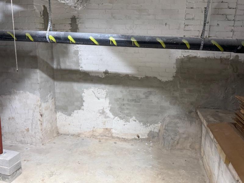 Sika Gray Matte Solid Cement Mildew Resistant Mold Resistant Interior ...