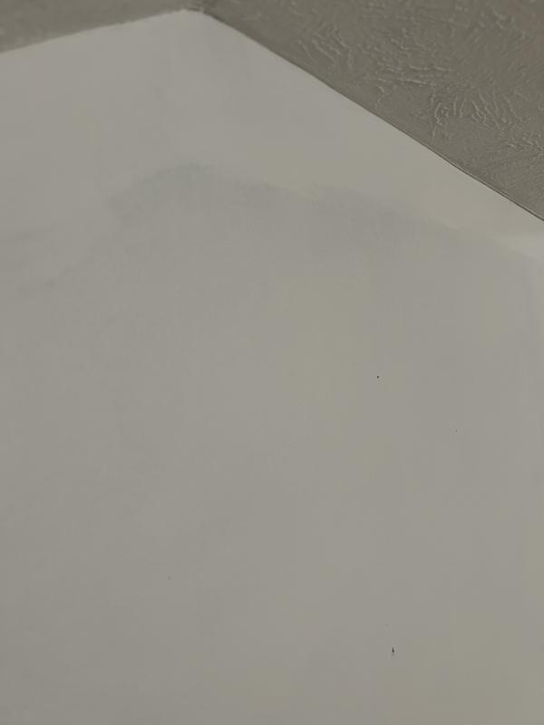 HGTV HOME by Sherwin-Williams Showcase Eggshell Sandy Sage 5008-1c ...