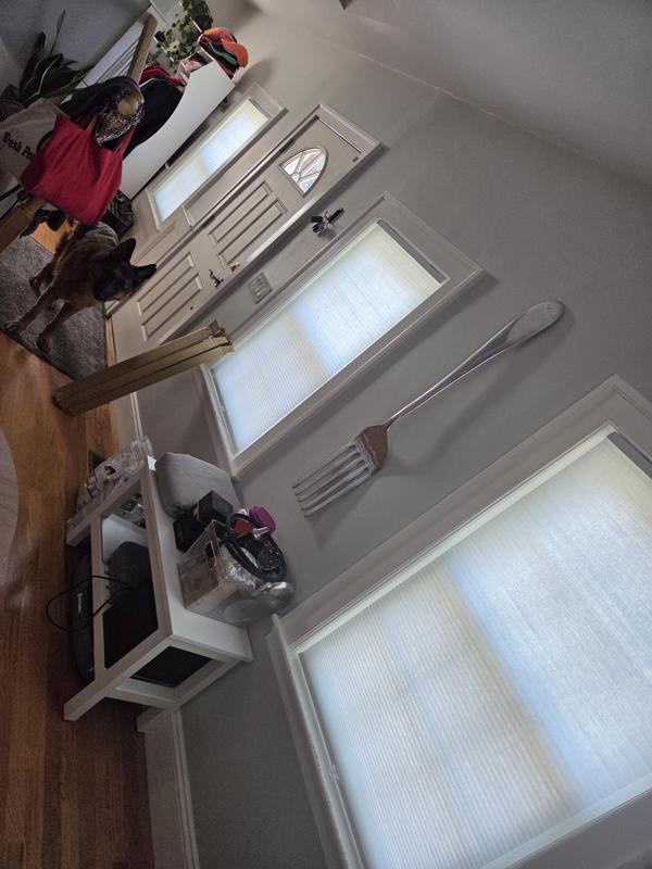 allen + roth 41-in x 48-in Cream Light Filtering Cordless Cellular ...