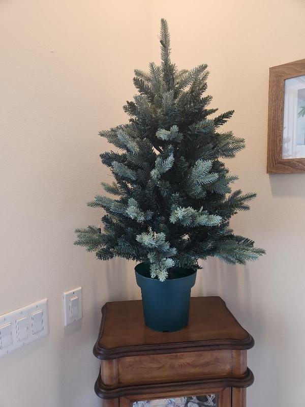 National Tree Company 3-ft Pre-lit Artificial Christmas Tree with White ...