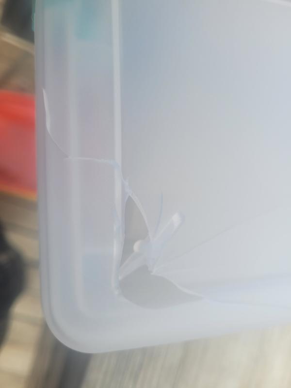 Sterilite 8 -Pack Clip Boxes X-large 2.874 -Gallons ( 11.49 -Quarts ...