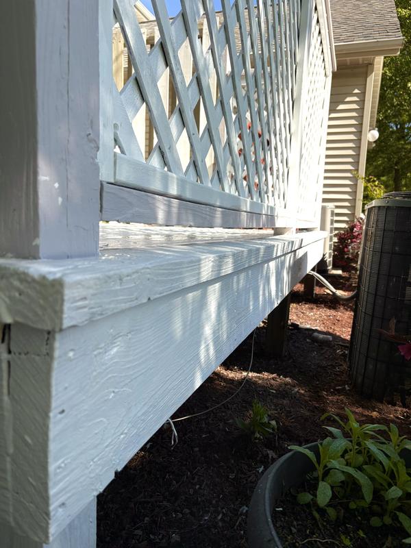 Shop HGTV HOME by Sherwin-Williams All-Purpose Power Interior/Exterior ...