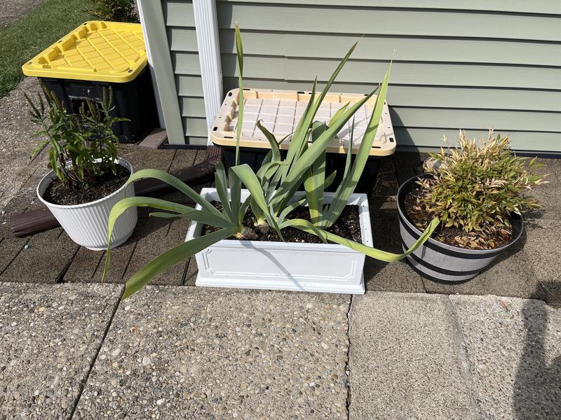 Evergreen Organic Compost and Manure Provides Organic Nutrients 380606 ...