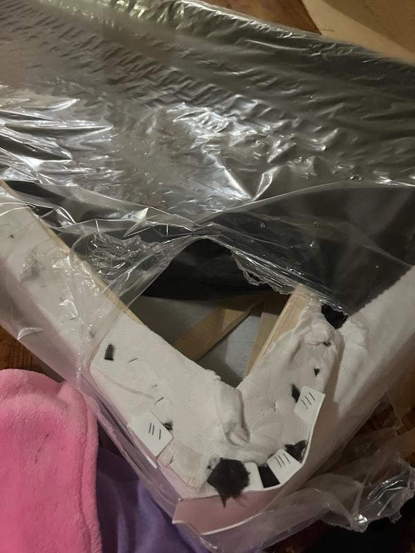 Glance 8-in Split Box Spring for Queen Bed, Effortless Carrying, Sturdy ...