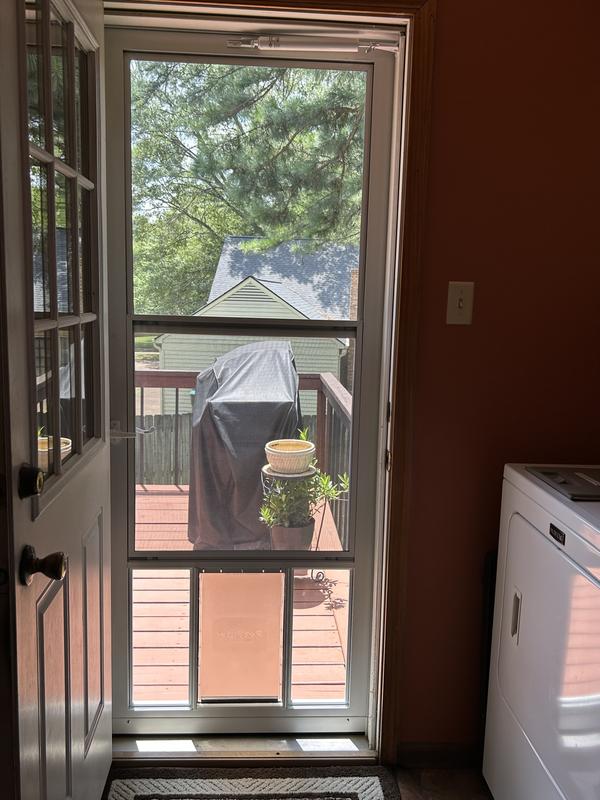 Shop LARSON Geneva 32-in x 81-in Black Steel Recessed Mount Security ...