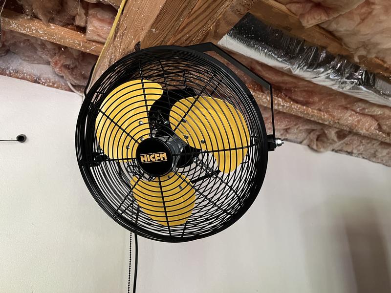 EdenDirect 12-in Indoor Yellow Wall Mounted Fan in the Wall Mounted ...