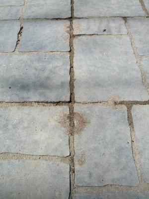 Sakrete 40-lb Tan/Brown Paver Polymeric Sand 65470077 at Lowes.com