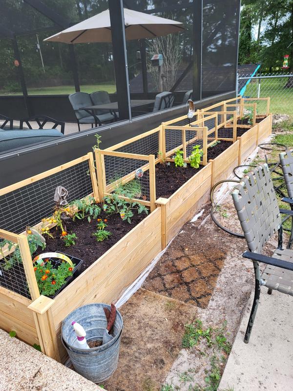 Orbit 1 Output Port Smart Adjustable Digital Hose End Timer with Drip ...