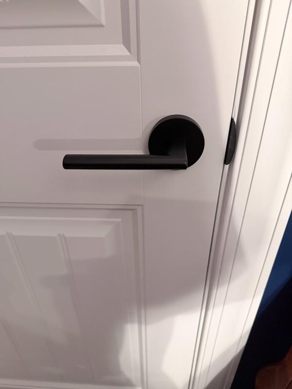 OKUN Brio Brushed Champagne Gold Interior or Hall/Closet Passage Door ...