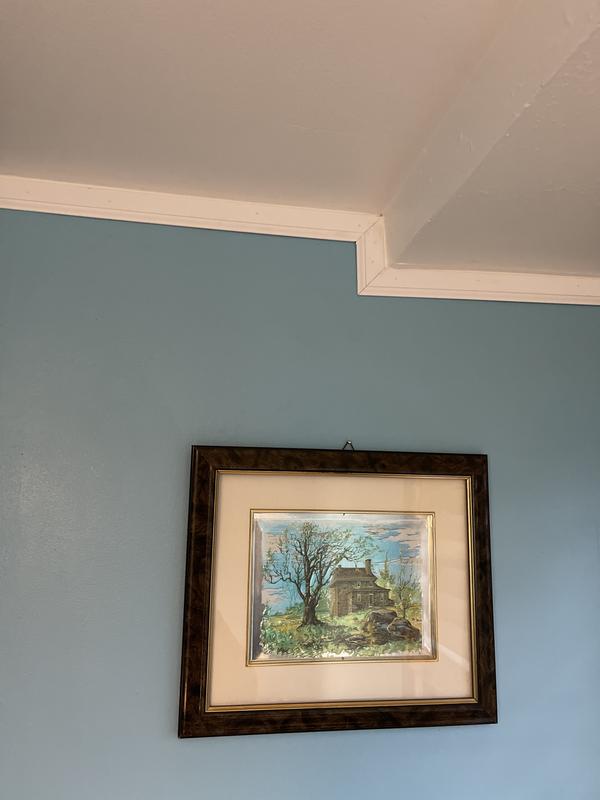 allen + roth 3/8-in x 1-1/4-in x 7-ft Painted Pine 947 Stop in the ...