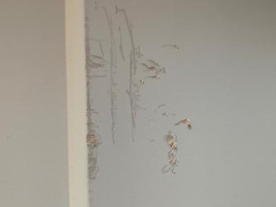 JELD-WEN 32-in x 80-in Primed Hollow Core 2-panel Left Hand Molded ...