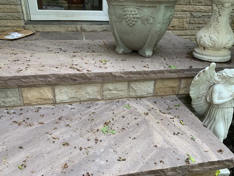 LiteStone 8-sq ft Himalaya Faux Stone Veneer 3956 at Lowes.com
