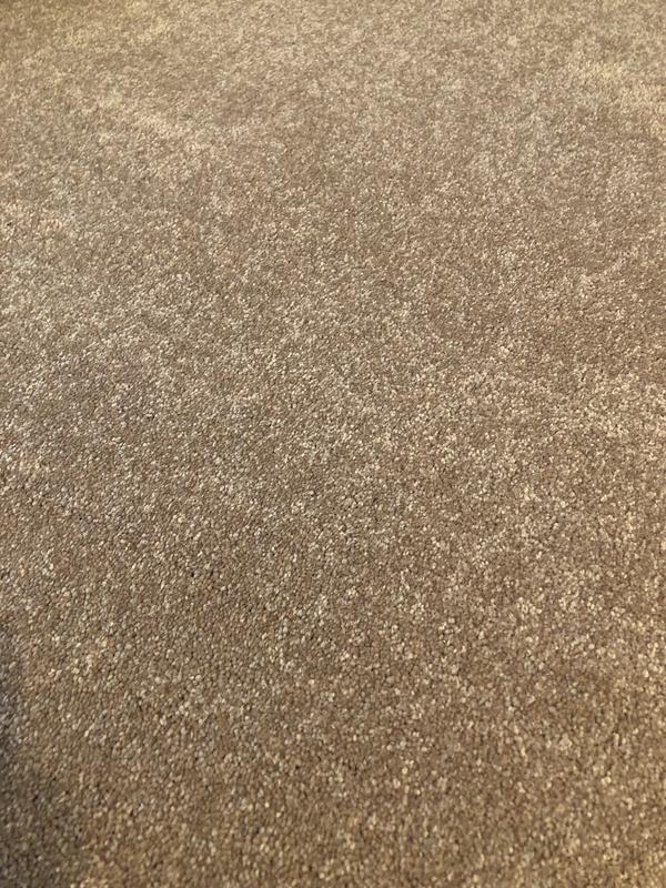 STAINMASTER Blue Diamonds II 12 Ft Snowdrift Off-white 63.4-oz sq yard ...