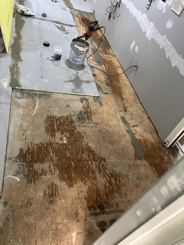 DensShield Tile Backer 32-in x 5-ft x 1/2-in Gypsum Backer Board 11606 ...