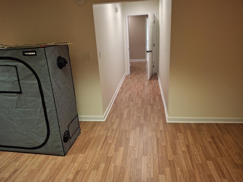 Style Selections Florian Oak 7-mm T x 8-in W x 48-in L Wood Plank ...