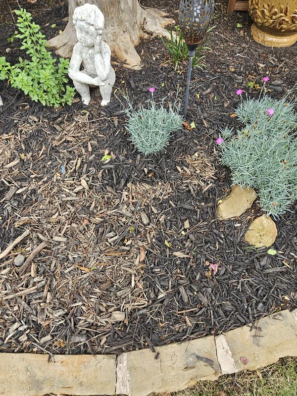 Permagreen 2.0 -cu ft Black Hardwood Decorative bark mulch in the ...