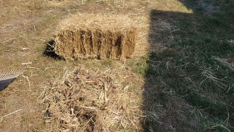 Wheat Straw 80 sq. ft. (at 3-in to 4-in depth) 92123 at Lowes.com
