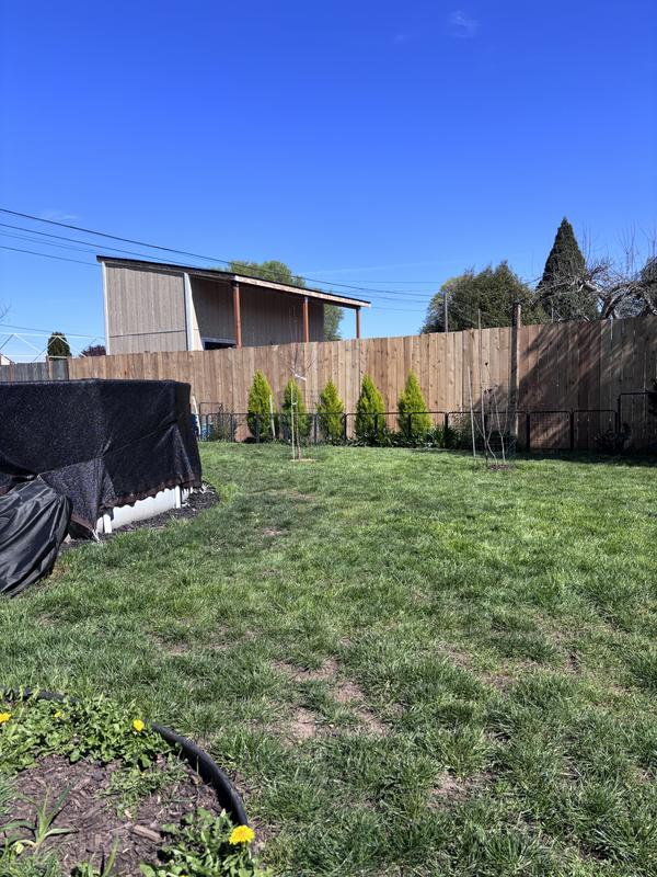 5/8-in x 3-1/2-in x 6-ft Western Red Cedar Flat-Top Fence Picket in the ...