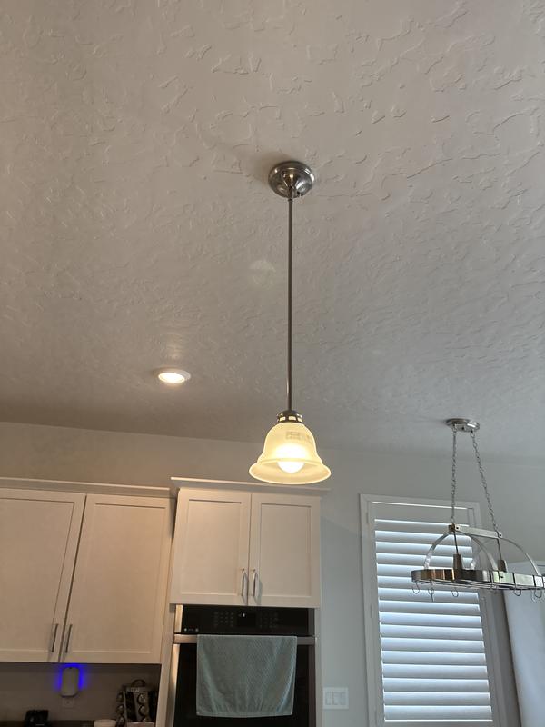 Project Source Fallsbrook 1 -Light Brushed Nickel Traditional Etched ...