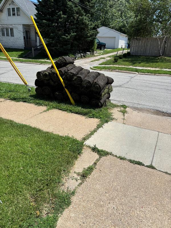 Harmony Outdoor Brands HARMONY HOME Fescue Sod Pallet - High Traffic ...