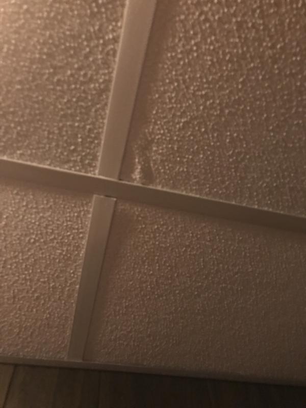 Armstrong Ceilings STYLESTIX 6 -Pack 72-in 36-sq ft PVC White Grid ...