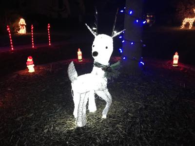 Holiday Living 36-in Deer Sculpture with White LED Lights at Lowes.com