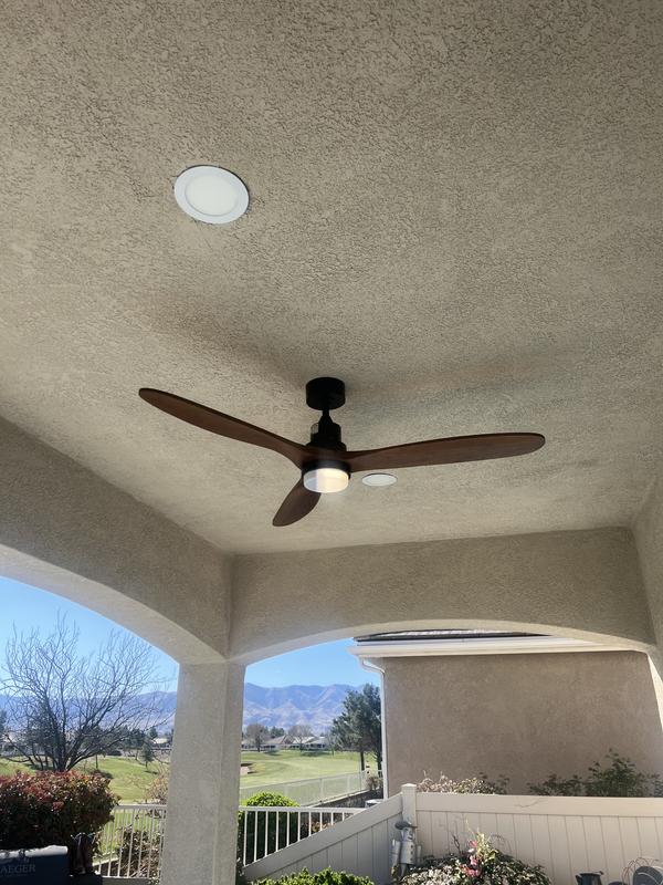 Sofucor Nicola 60-in Black with Dark Brown Blades Color-Changing ...