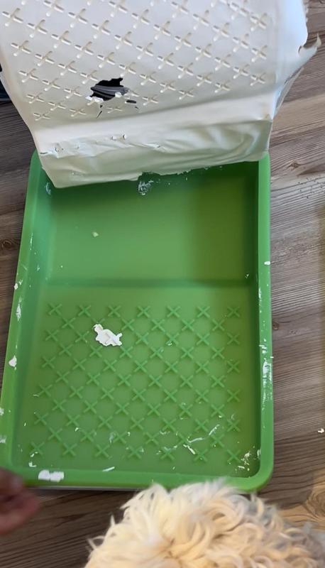 Repaint Studios 16-in x 11.5-in Paint Tray RPT1001 at Lowes.com