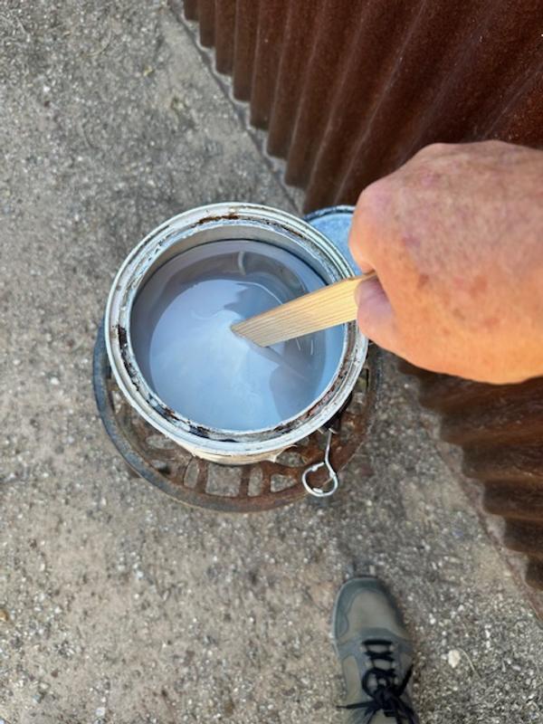 Project Source 1 Gal Paint Stick 10 Pack LWSPROS-10 at Lowes.com