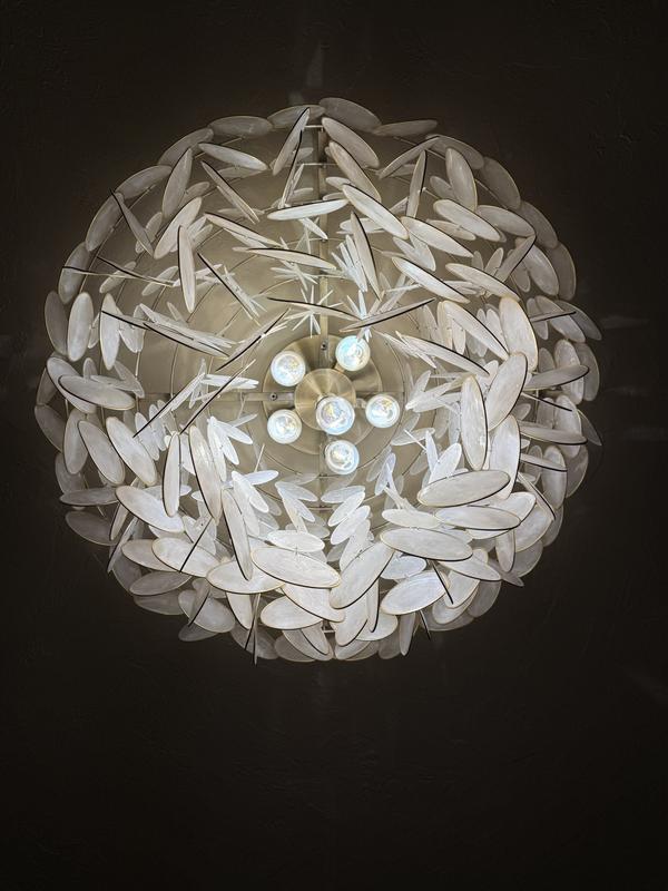 AloaDecor Lighting 7 -Light Bronze Shell Metal Chandelier in the ...