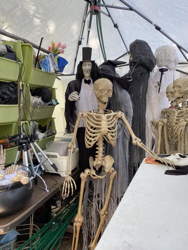 Shop Haunted Living Haunted Skeletons Collection at Lowes.com