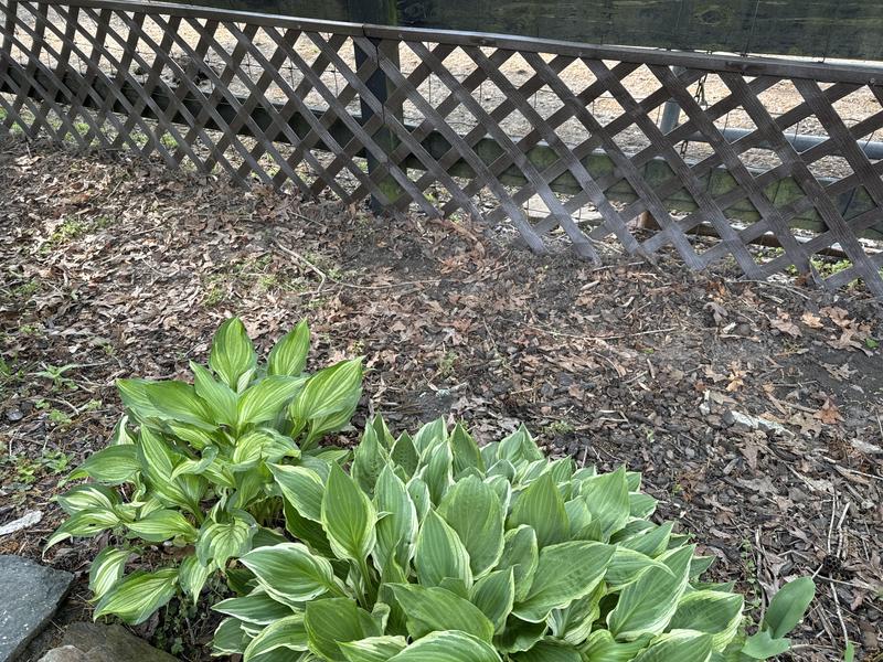 Style Selections 1-in x 8-ft Black Vinyl Lattice cap in the Lattice ...