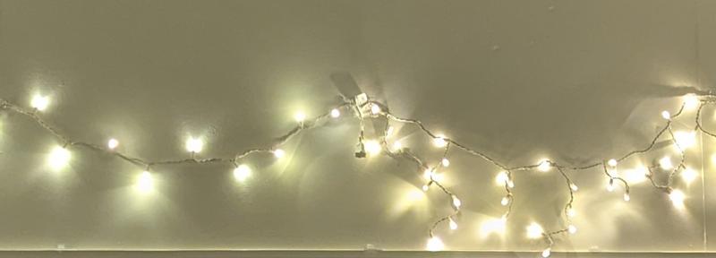 Holiday Living 120 -Count 12-ft Color-changing Color changing LED Plug ...