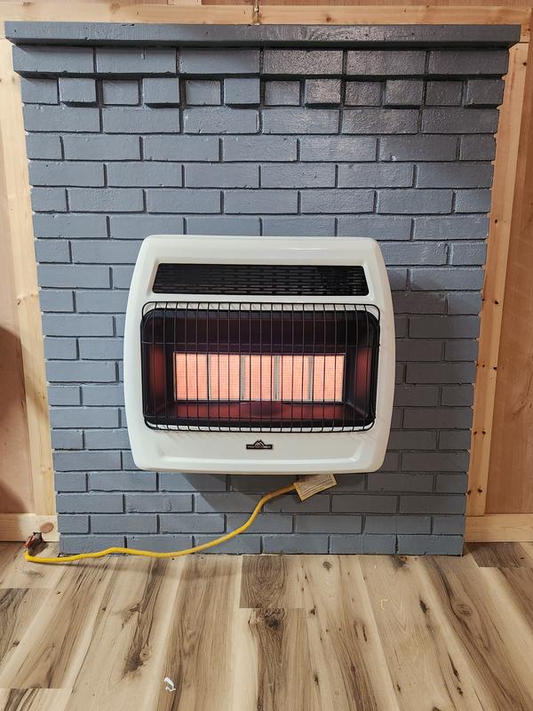 Master Forge 30000-BTU Wall-Mount Indoor Natural Gas or Liquid Propane ...