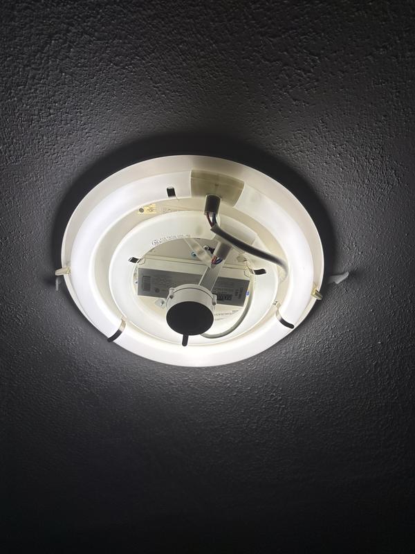 Cree Lighting 32 -Watt EQ T9 Cool white Fluorescent pin base G10q ...