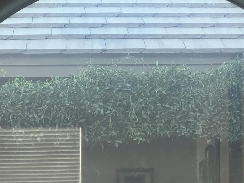 GILA 48-in x 180-in Titanium Heat-control Window Film 50146279 at Lowes.com