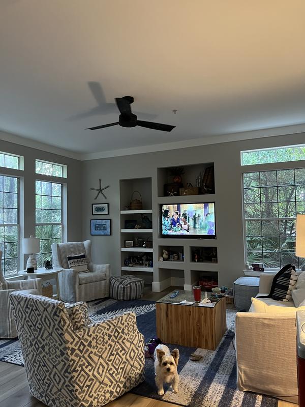 Craftmade Inspo 54-in Brushed Polished Nickel with Brushed Nickel ...