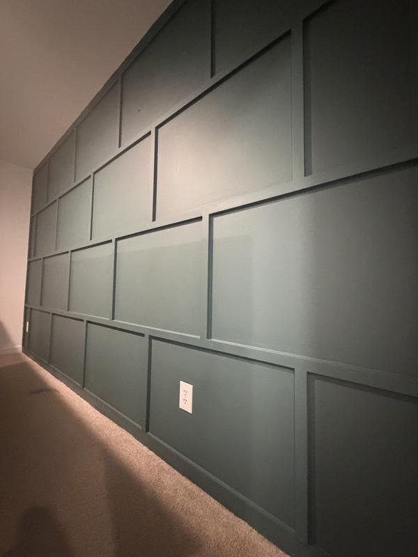 Valspar Reserve Eggshell Summer Gray 7006-17 Latex Interior Paint ...