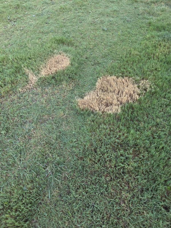 Toro TimeCutter 60-in 24-HP V-twin Gas Zero-turn Riding Lawn Mower ...