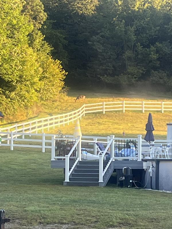 Trex Enhance 6-ft x 36-in Classic White Composite Deck Stair Rail Kit ...