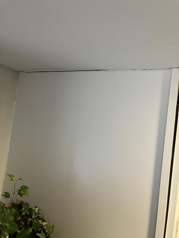 RELIABILT Fairplay 96-in W x 0.75-in H x 0.24-in D White Painted ...
