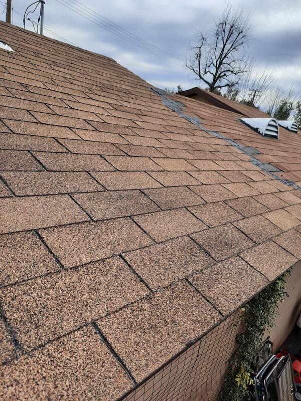 AMES Maximum-Stretch 1-gallon White Elastomeric Reflective Roof Coating ...