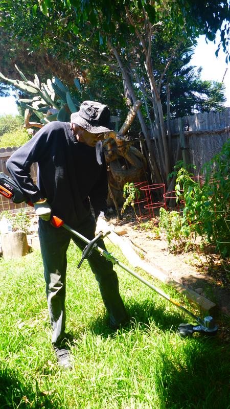 Henx 40-volt 14-in Straight Shaft Battery String Trimmer 2.5 Ah ...