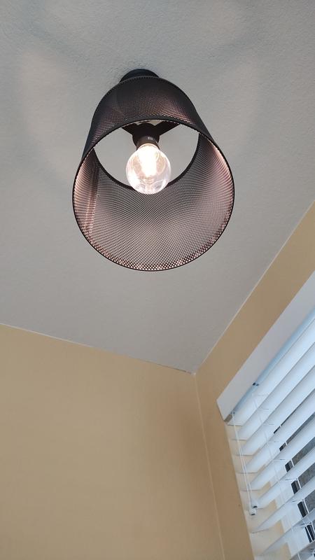 Utilitech Straight Filament 60 -Watt EQ ST19 Soft white Screw bases ...