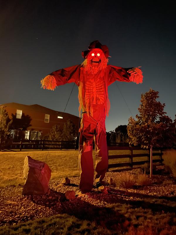 Haunted Hill Farm 15.09-ft Freestanding Talking Lighted Scarecrow ...