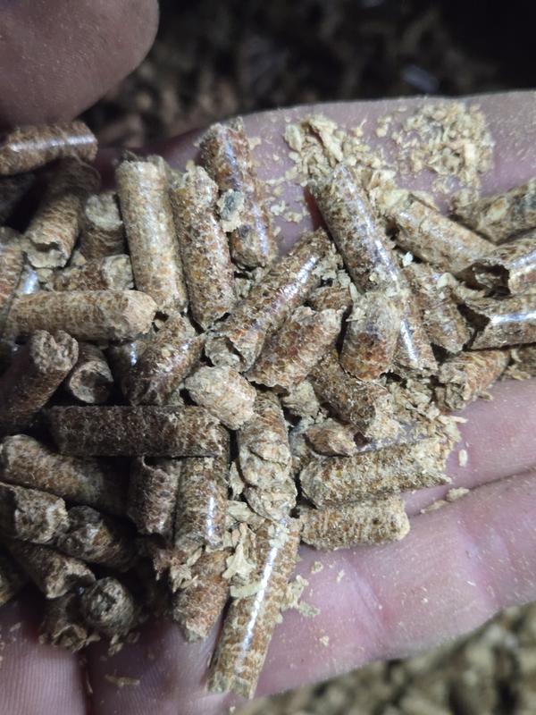 Golden Fire Premium 100% Douglas Fir Wood Pellets - 40 lb Bag, All ...