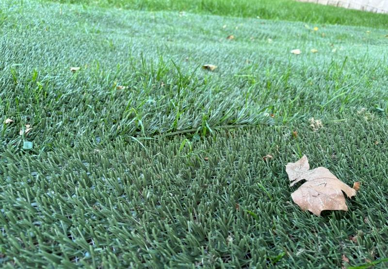 DURAGRASS Hybrid Turf Patch 25-ft-ft x 3-ft Artificial Grass 10377010 ...