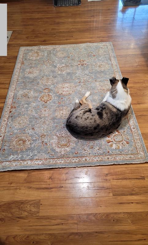 allen + roth Miriam 9 X 12 (ft) Light Blue Indoor Floral/Botanical Area ...